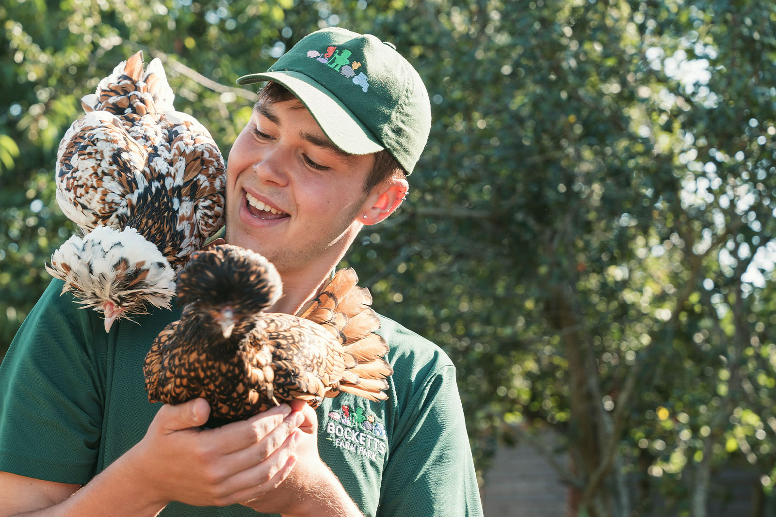 Design Development SEO